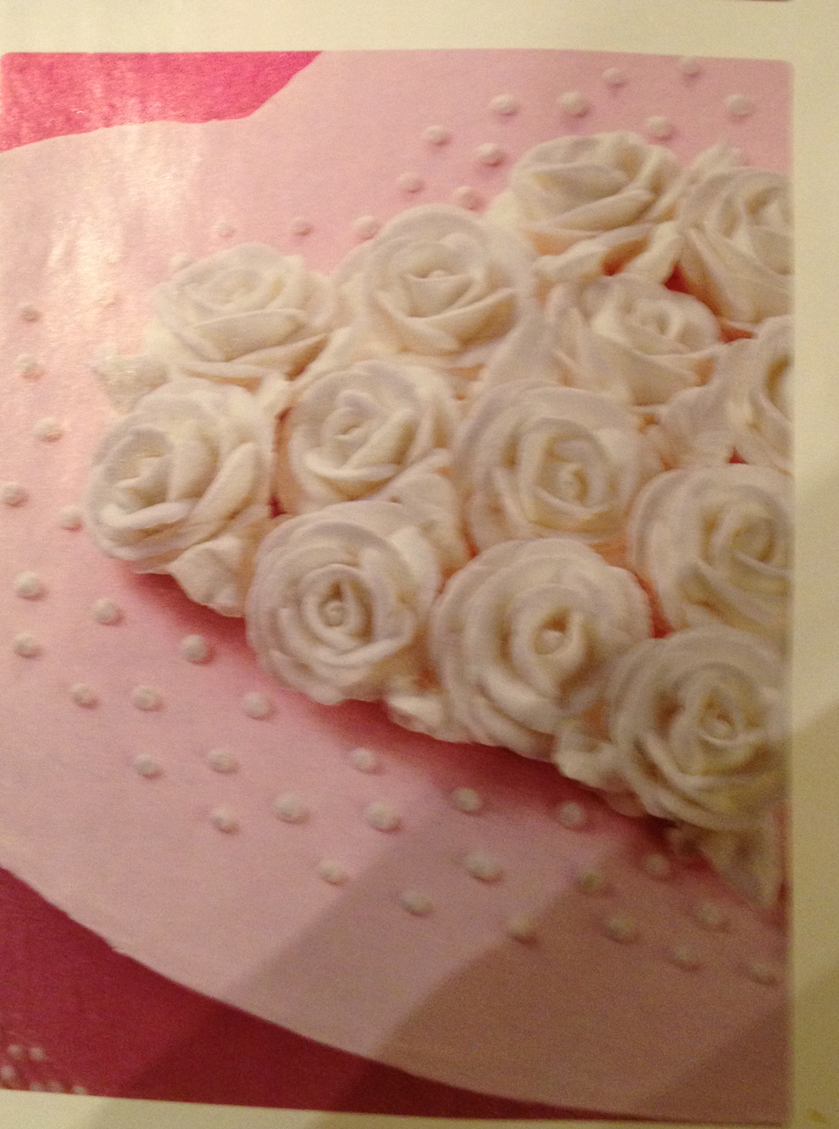 Advanced Cake Decorating Class – We’re there!! | rubyjeansfamily